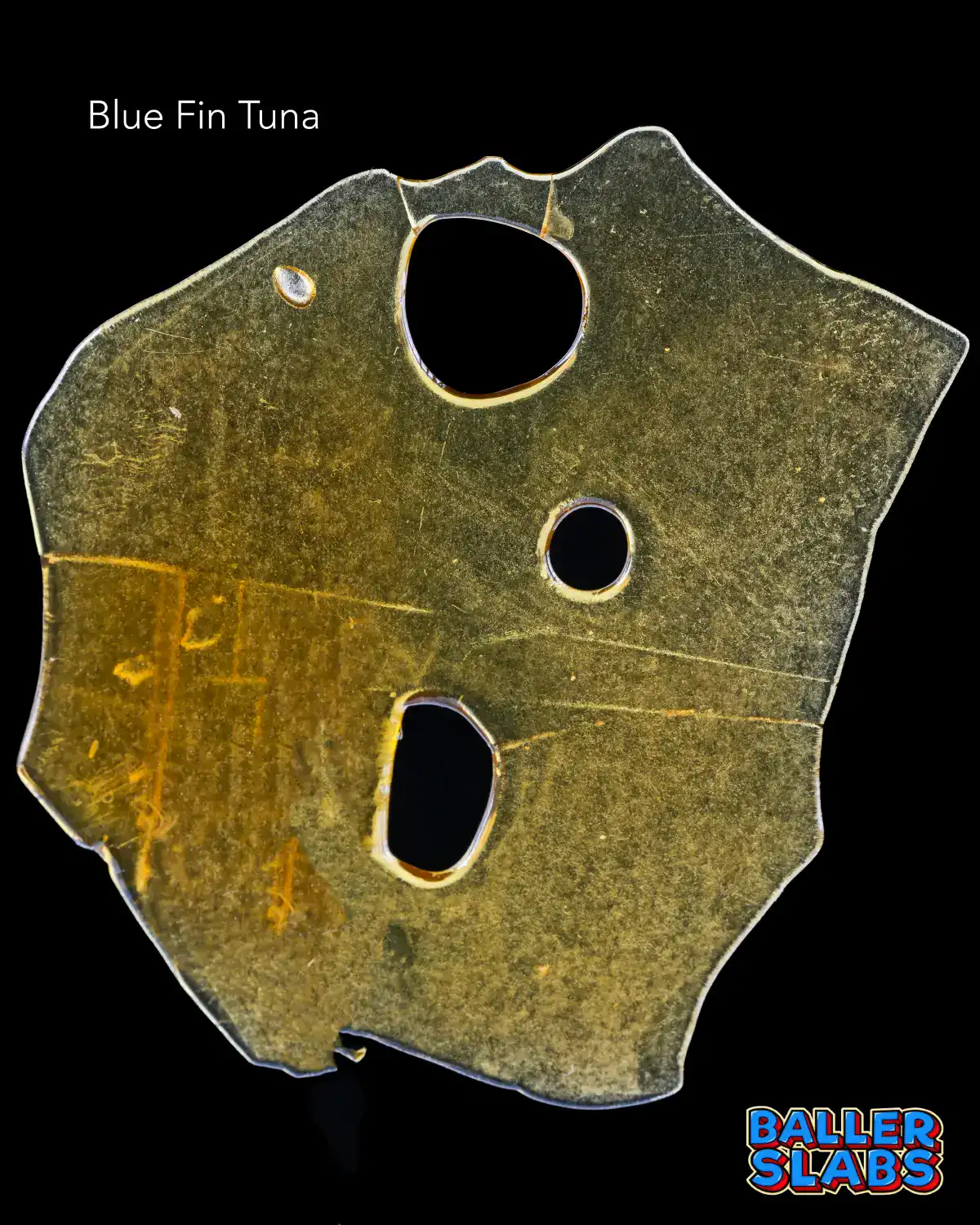 BALLER SLAB SHATTER - BLUE FIN TUNA (5 gram) - Canna Craft Collective