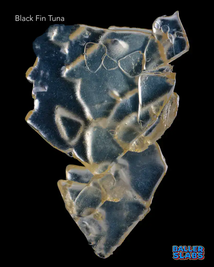 BALLER SLAB SHATTER - BLACK FIN TUNA (5 gram) - Canna Craft Collective